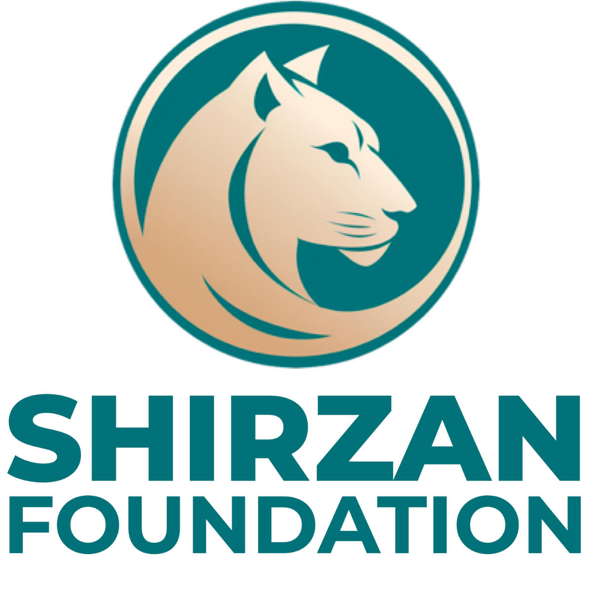 Shirzan Foundation